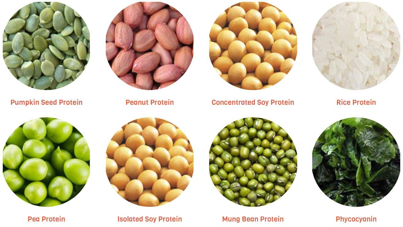 plant protein 2 - etchem