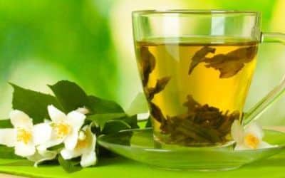 Oil Soluble Green Tea Extract Polyphenol Manufacturer Camellia Sinensis ...