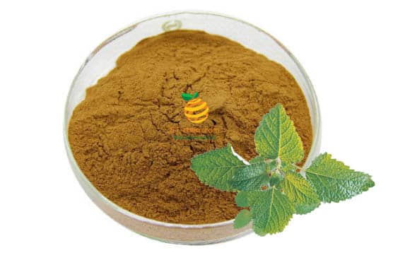 Lemon balm extract wholesaler Rosmarinic acid factory China USA